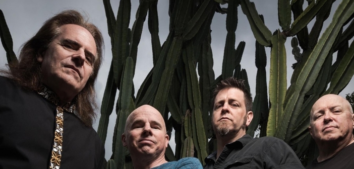 PATTERN-SEEKING ANIMALS Stream First Single "No Burden Left To Carry ...