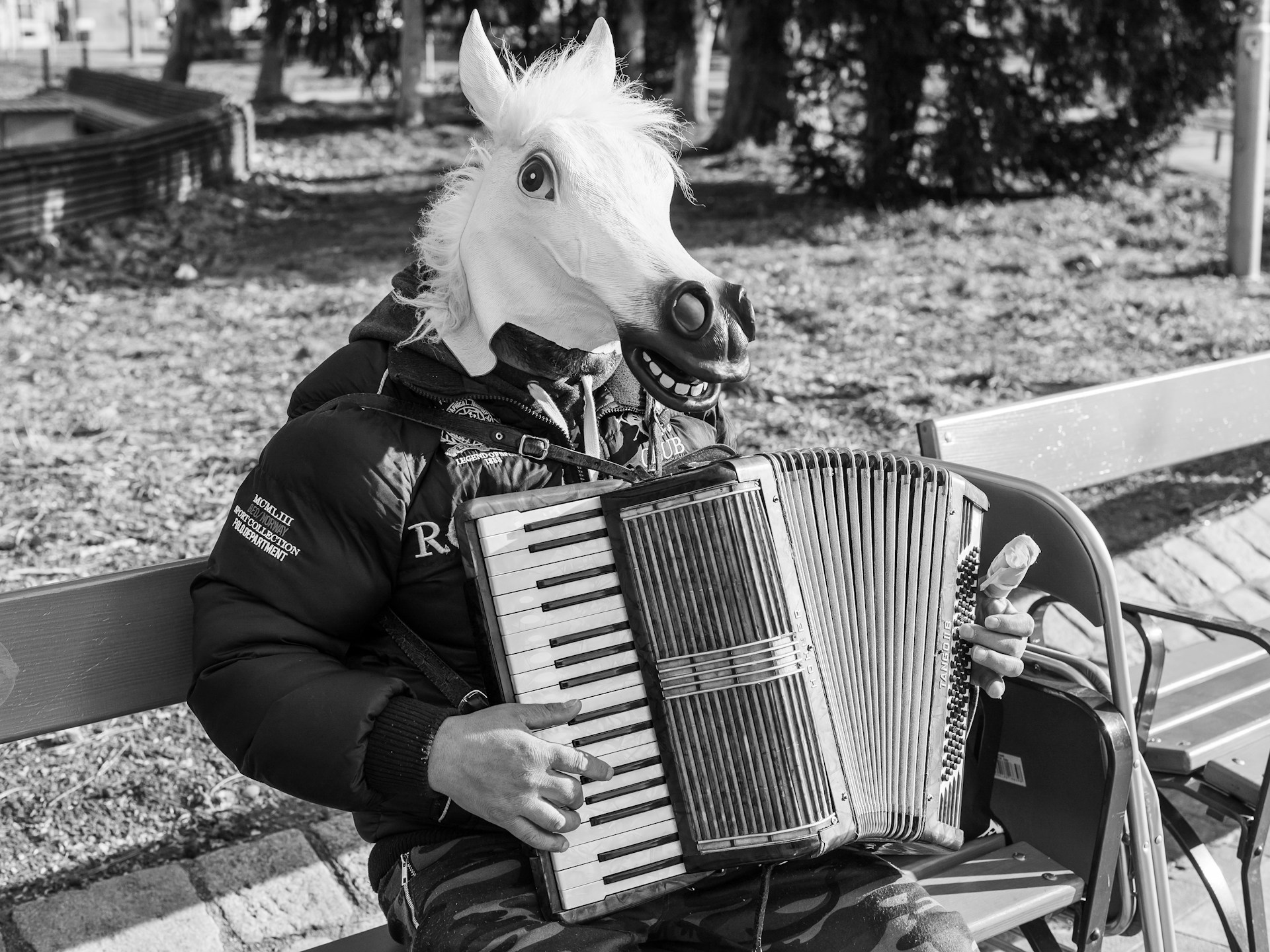 The Sound of the Finish Line: Iconic Songs Inspired by Horse Racing